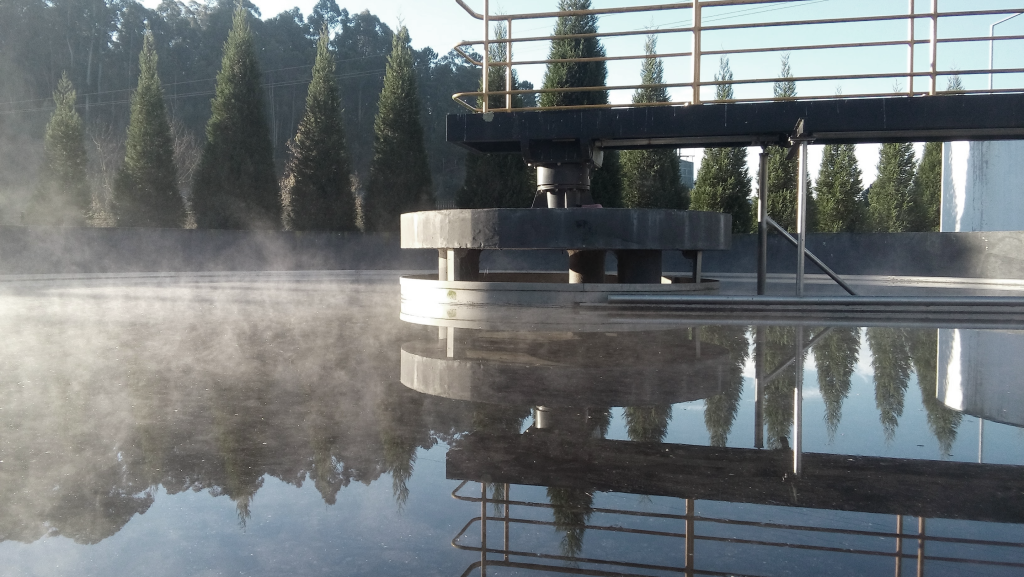 Antin | Seeing potential, delivering value